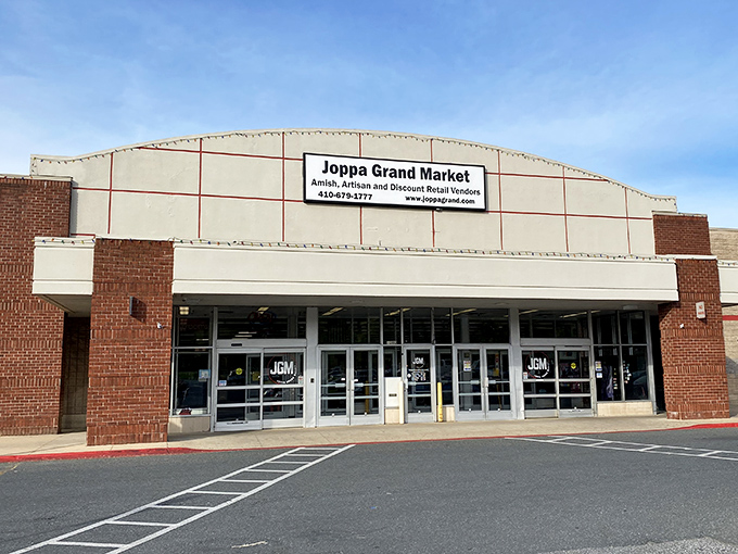 The spacious interior layout ensures that even the most dedicated browsers can navigate comfortably through endless treasure possibilities.