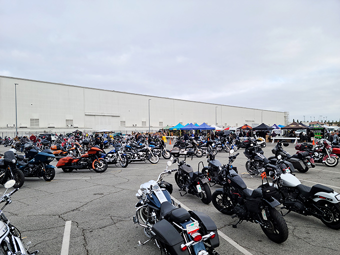 Motorcycles line up like chrome soldiers while their owners hunt for vintage treasures inside.