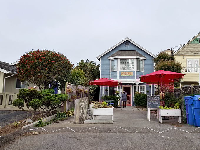 This quiet Central Coast community offers sweeping views toward Morro Bay, proving sometimes the best discoveries hide in plain sight.