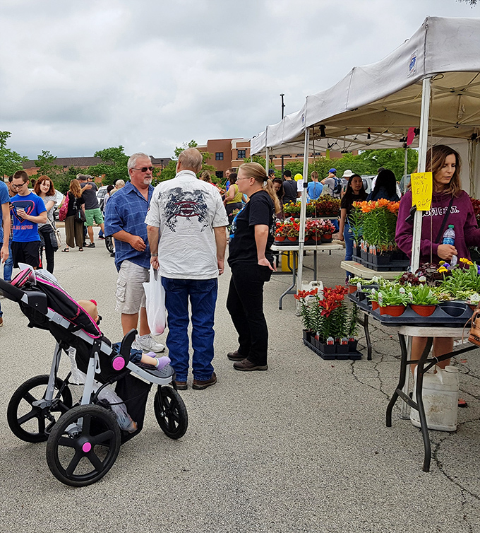 Browsing becomes a social event at Urbana's Market at the Square. That lamp might light up more than just your living room!