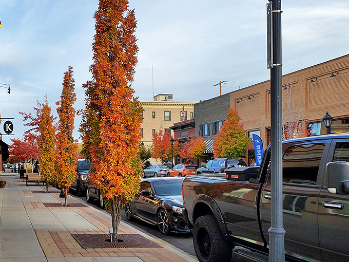 Fall transforms Minden's streets into a golden gallery when the trees don their autumn colors against the backdrop of the Sierra Nevada.