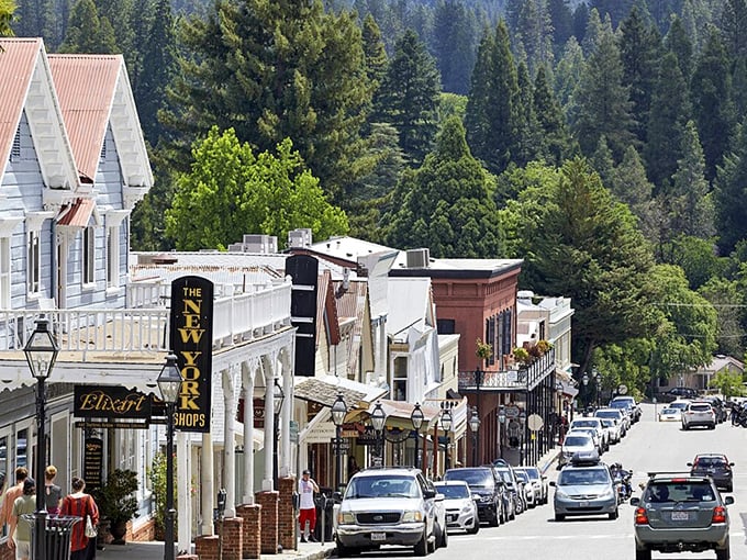 Nevada City's Victorian charm shines brightest when framed by towering pines. History never looked so inviting.