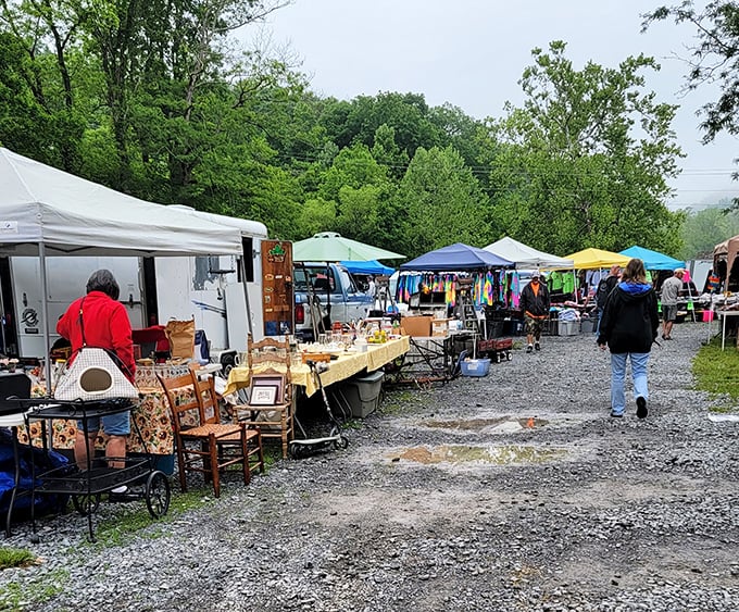 Vendors line the gravel path at Pence Springs, where one person's castoffs become another's prized possessions.