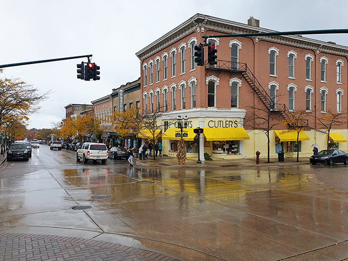 Petoskey's downtown with its distinctive yellow awnings: Main Street charm without the big-city price tag. Norman Rockwell aesthetics on a Social Security budget!