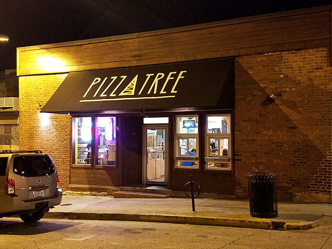 Night falls, but Pizza Tree's warm glow beckons. This downtown Columbia spot transforms from brick-wall simplicity to beacon of pizza hope after dark.