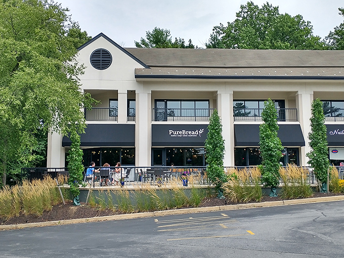 Upscale casual dining done right - those clean lines promise sandwiches that taste as refined as they look.