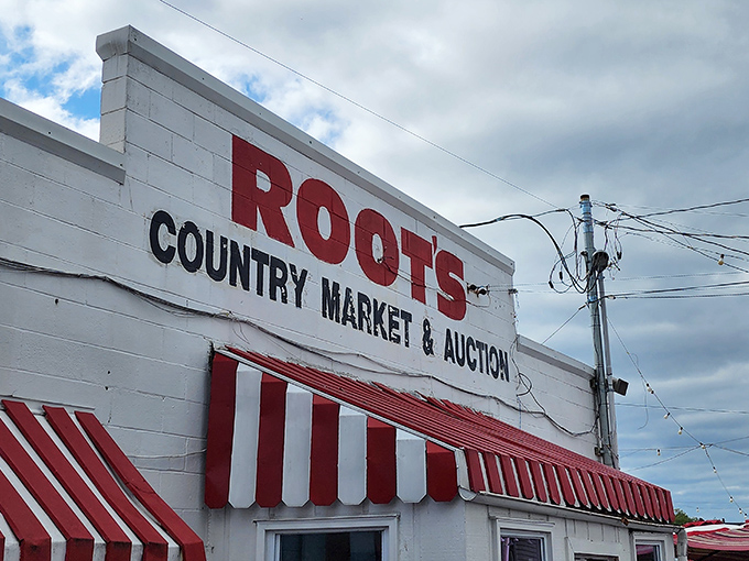Iconic market architecture! The bold red lettering of Roots Country Market stands out against the white building like a beacon for shoppers.