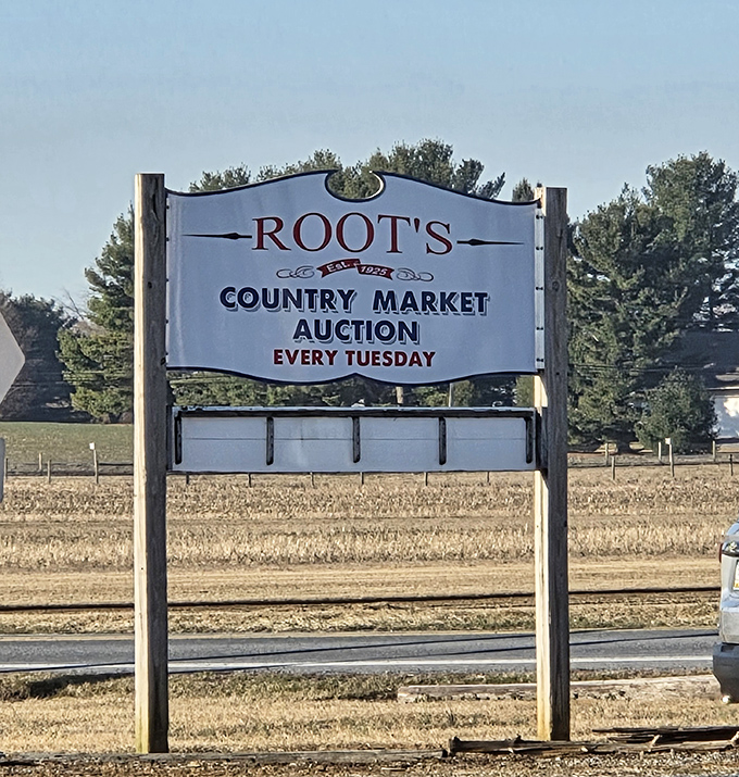 Traditional auction excitement meets modern flea market convenience in this time-honored Pennsylvania gathering place.