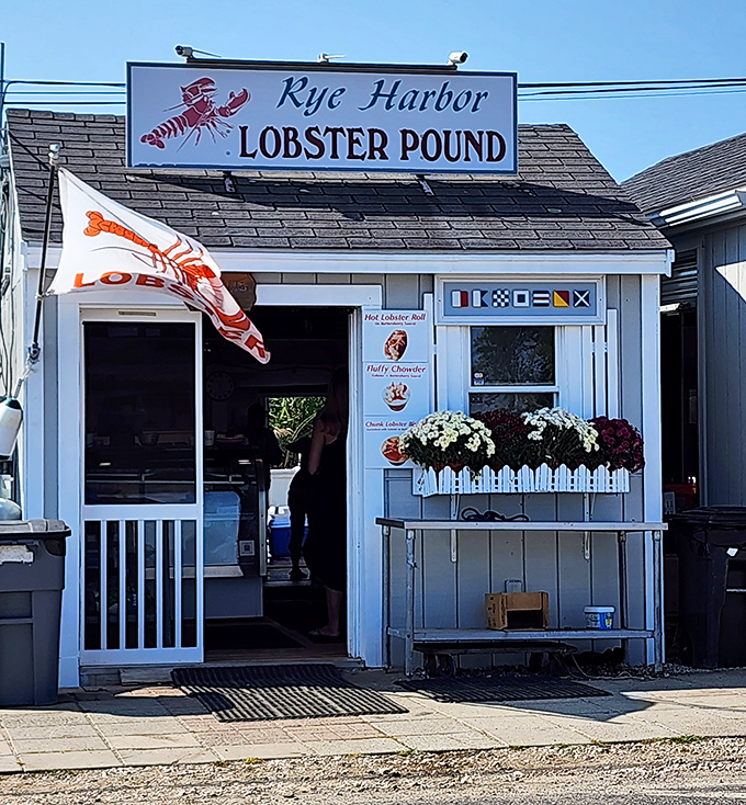 The Rye Harbor Lobster Pound's modest exterior is the seafood equivalent of Clark Kent's glasses&mdash;a humble disguise for superhero-level lobster rolls.