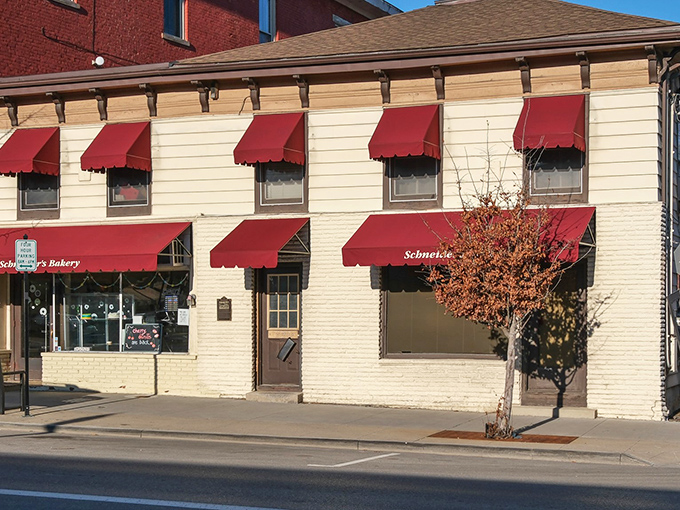 The cream-colored facade of Schneider's has been the backdrop for countless "we got donuts!" selfies across generations.