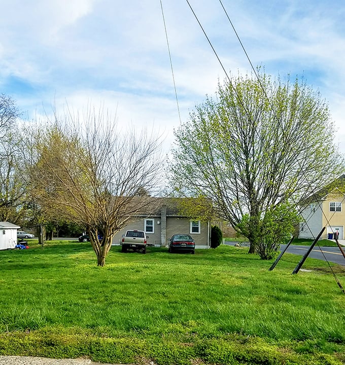 Spring greenery frames Smyrna's residential streets, where modest homes hold immodest amounts of community pride.