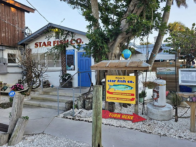 Follow the yellow sign to Star Fish Company, where the building may be humble but the seafood inside is what Florida dreams are made of.