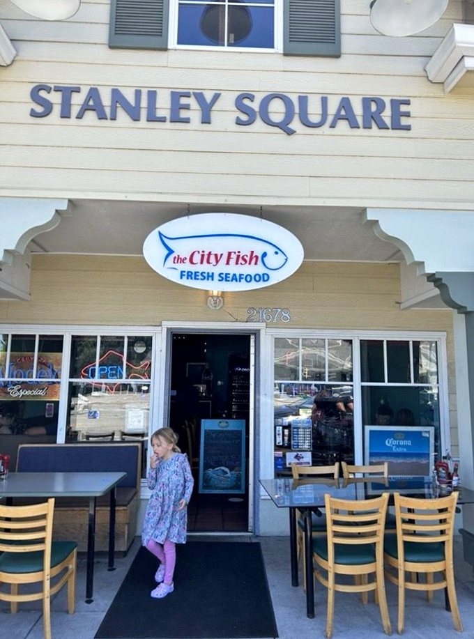 Behind that unassuming storefront lies a seafood sanctuary where fresh lobster gets the respect it truly deserves.