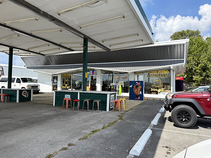 That covered ordering area and simple setup focus on what matters most: making great dogs.