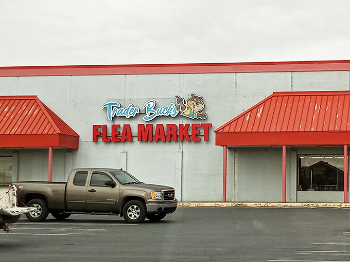 Red accents pop against the white exterior of Trader Buck's. This spacious market promises room to browse without the crowds!
