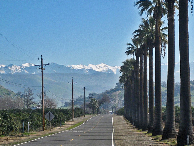 Palm-lined streets deliver authentic California vibes at prices that let you actually enjoy the golden years ahead.
