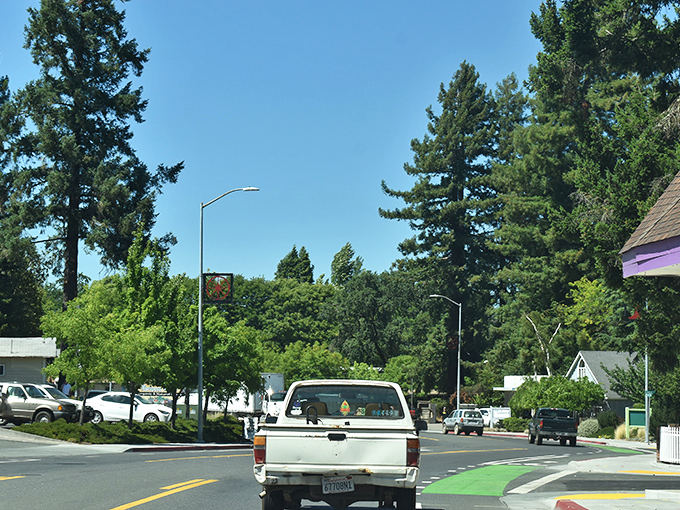 Those tall pines watching over downtown remind you that nature's never far away in this northern California gem.