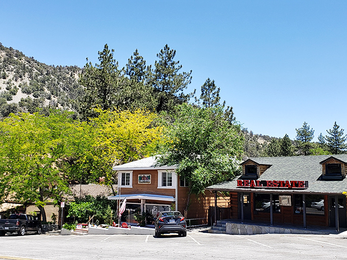 Spring wildflowers burst in golden waves across Wrightwood's hillsides, creating nature's own welcome mat.