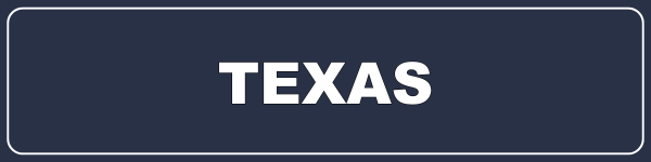texas state button