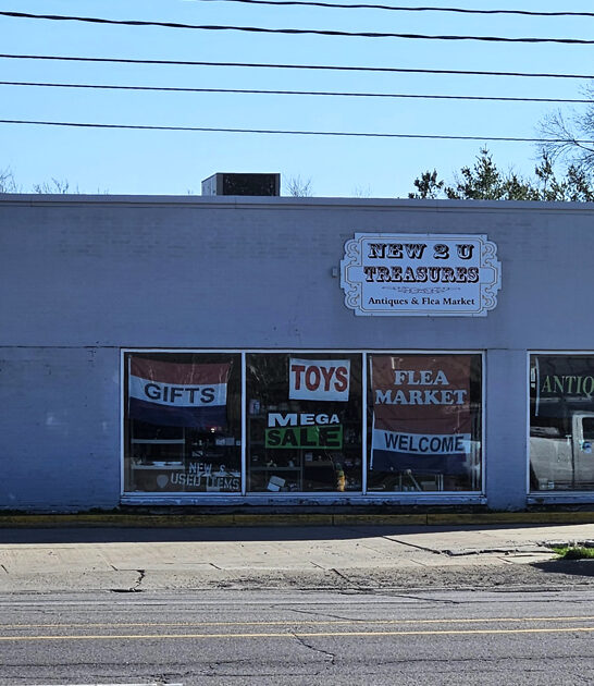 affordable flea finds iowa ftr