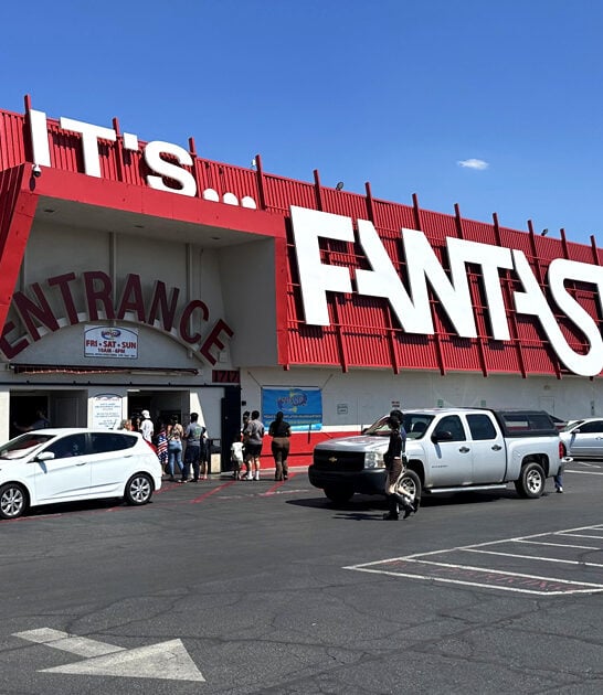 affordable flea finds nevada ftr