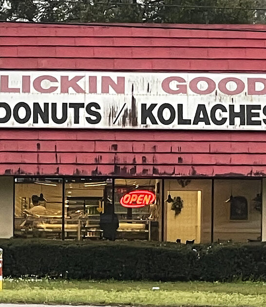 alabama apple fritters ftr