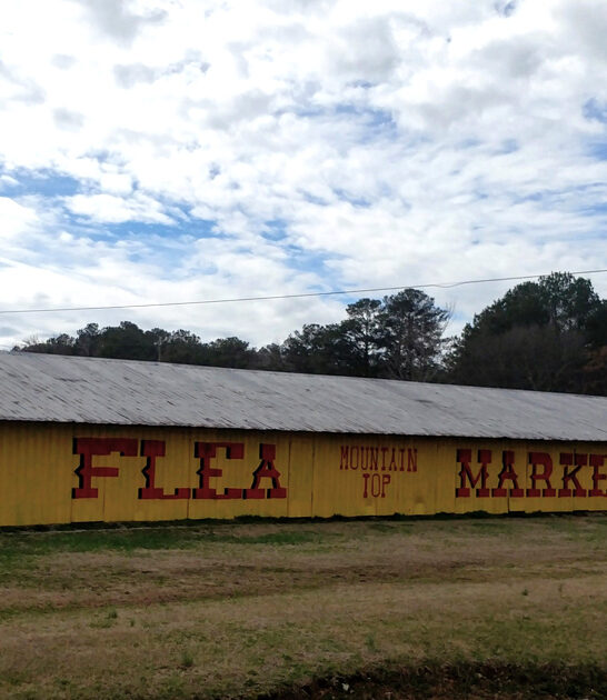 alabama flea rare bargains ftr