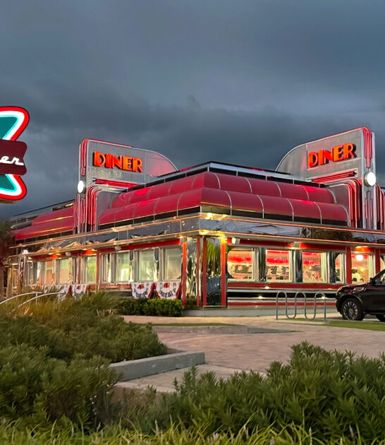 alabama retro diner chicken ftr