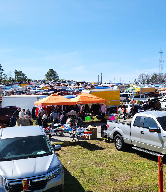 alabama unbeatable deals market ftr