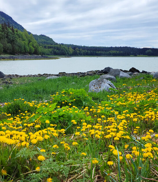 alaska state park wilderness ftr
