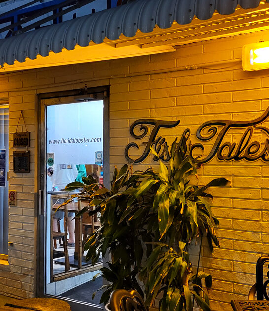 amazing fish shop florida ftr