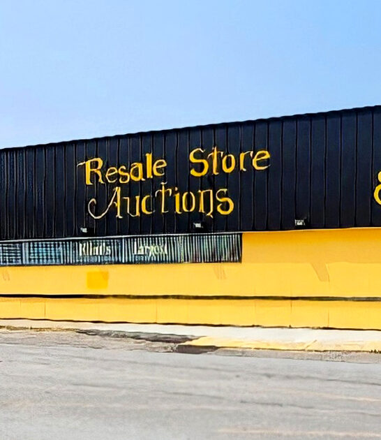 amazing thrift spots michigan ftr