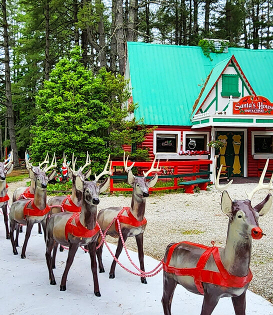 amusement park north carolina ftr