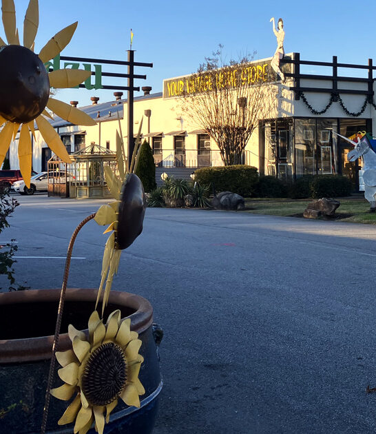 antique georgia bargains cheap ftr