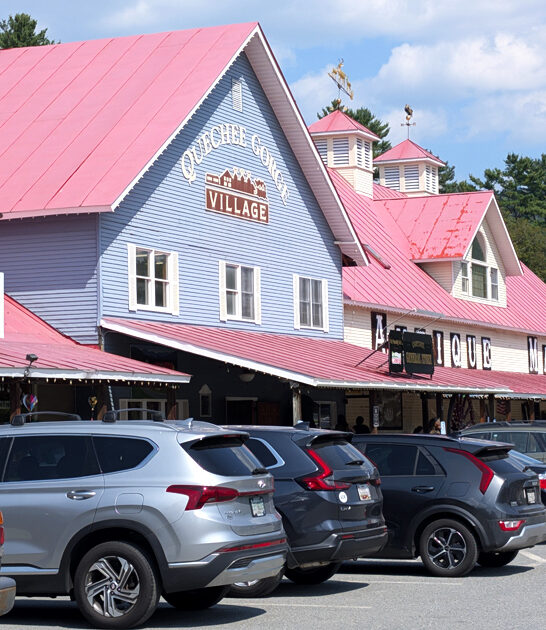 antique store vermont hunting ftr