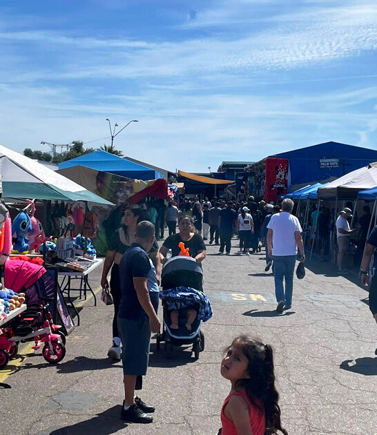 arizona flea market paradise ftr