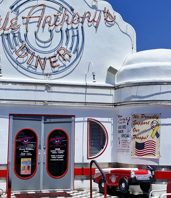 arizona retro diner patty ftr
