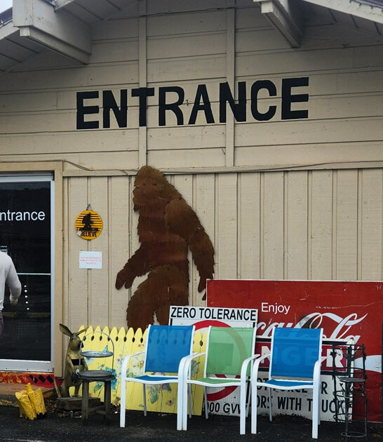 arkansas flea market trunk ftr