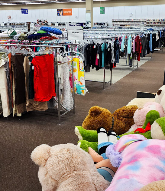 arkansas secondhand shop adventures ftr