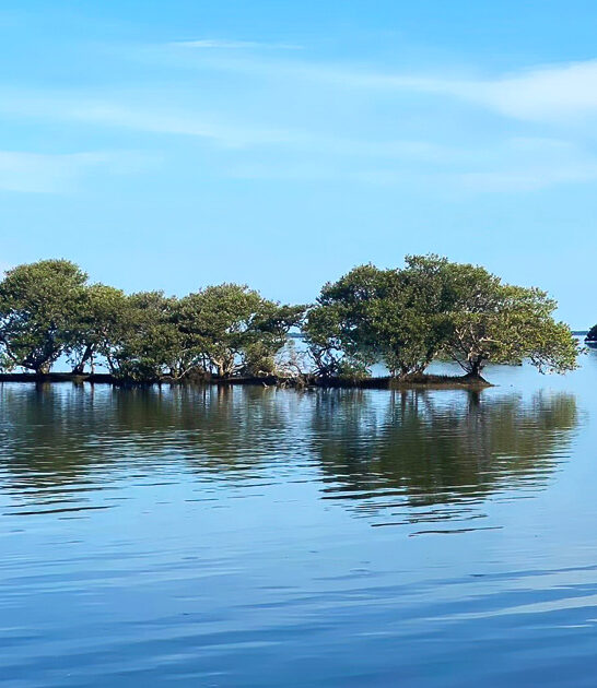 astounding park florida stunning ftr