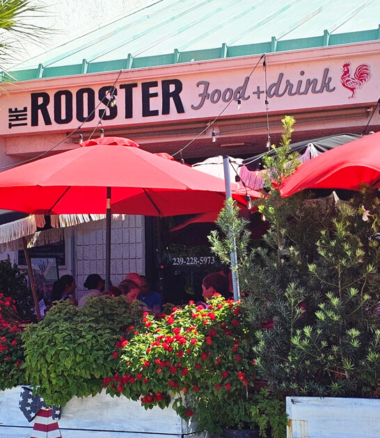 avocado toast florida eatery ftr