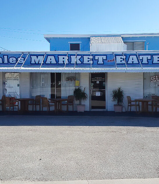 awesome fish market florida ftr