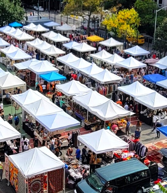 backseat bargains new york ftr