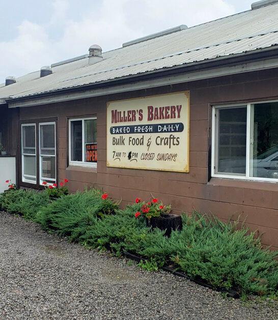 bakeshop ohio beloved most ftr