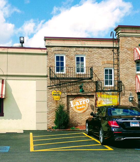 barbecue joints illinois ribs ftr