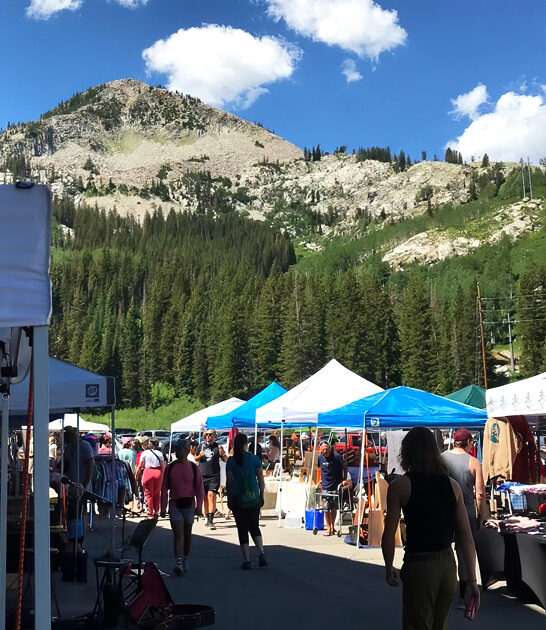 bargain markets utah dreams ftr