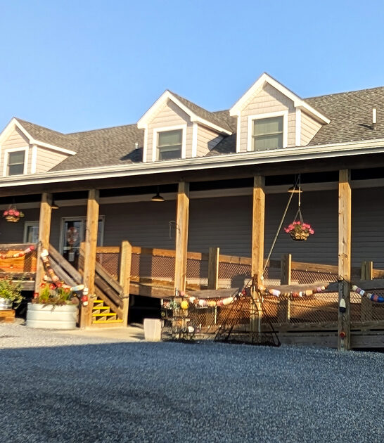 bay bounty delaware eats ftr