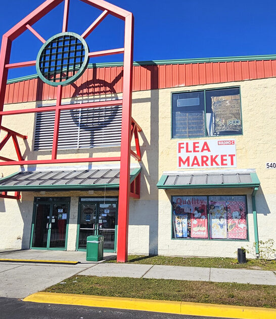 bazaar florida thrifting ftr