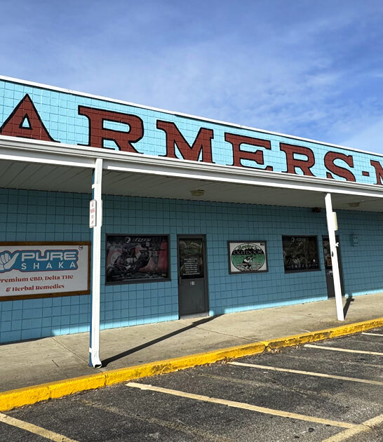 bazaars massive new jersey ftr