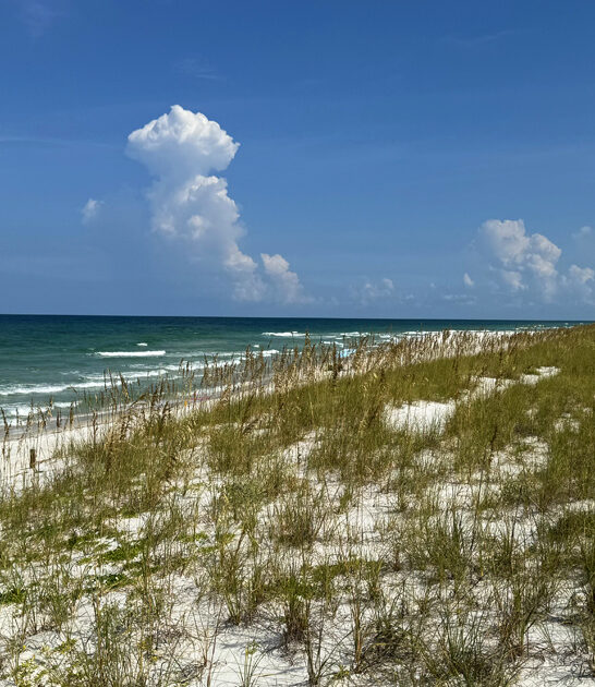 beaches incredible florida park ftr